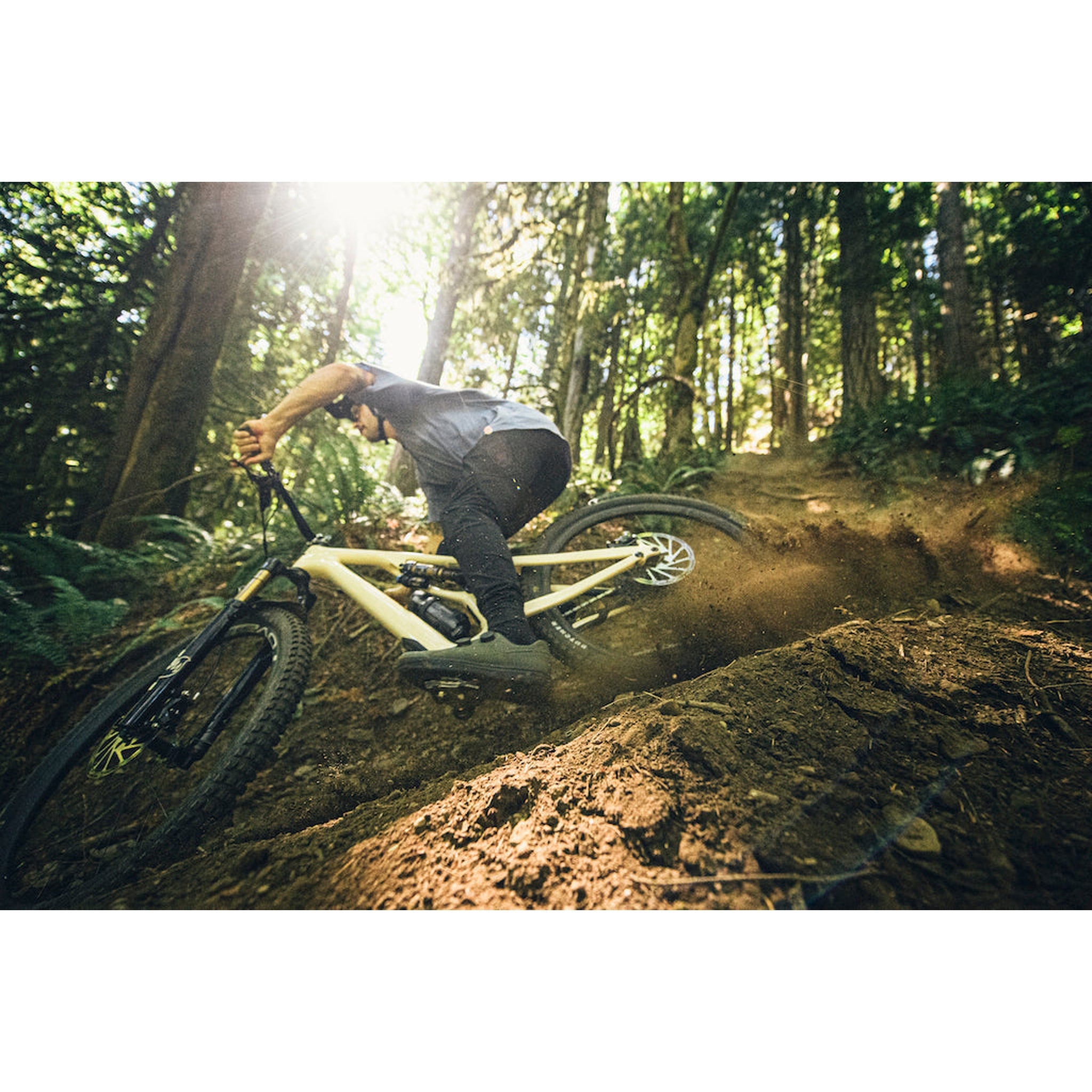 SPECIALIZED – Cycles Direct